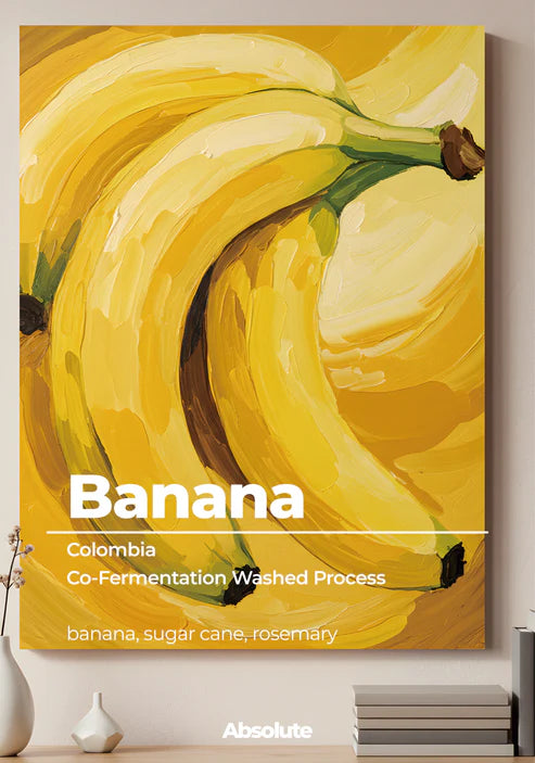 ABSOLUTE - Banana(Colombia) – Tajer Coffee